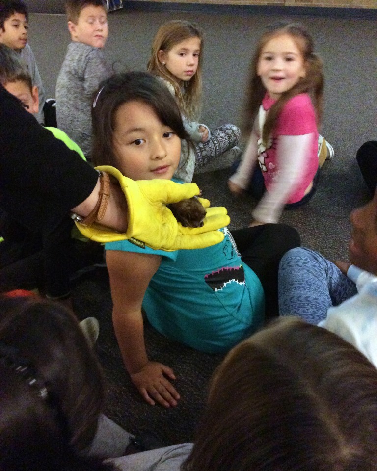 Gallery - 2nd Grade Bat Zone