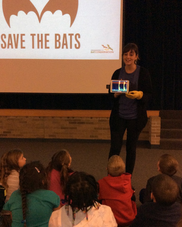 Gallery - 2nd Grade Bat Zone