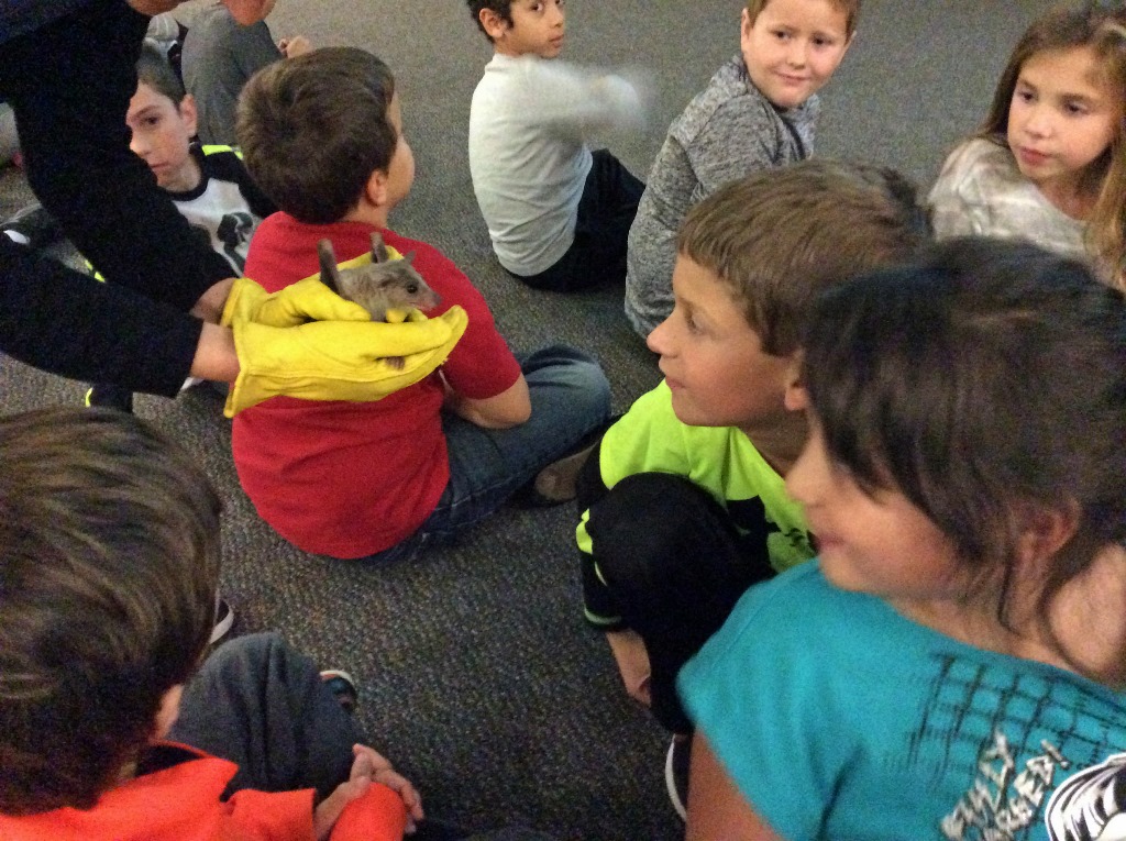 Gallery - 2nd Grade Bat Zone