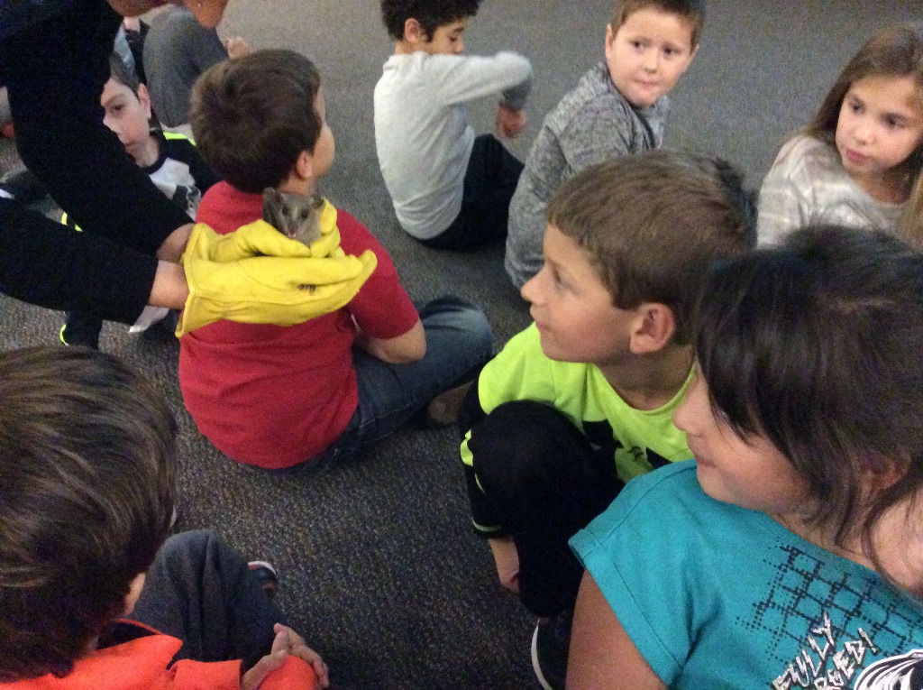 Gallery - 2nd Grade Bat Zone