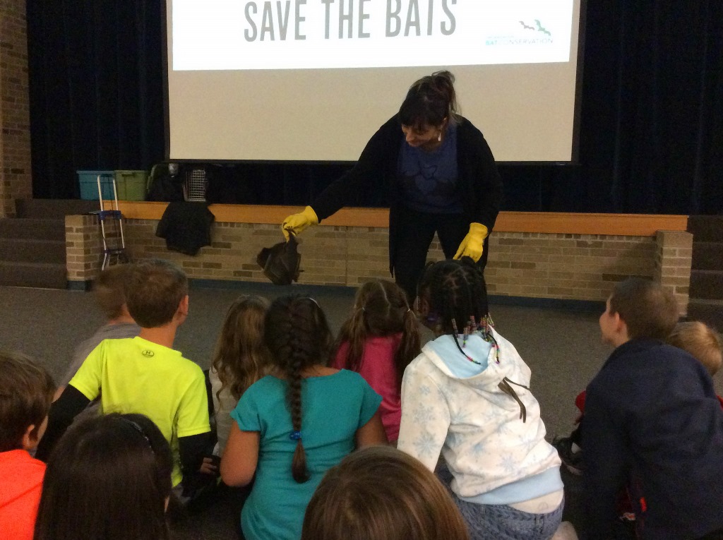 Gallery - 2nd Grade Bat Zone