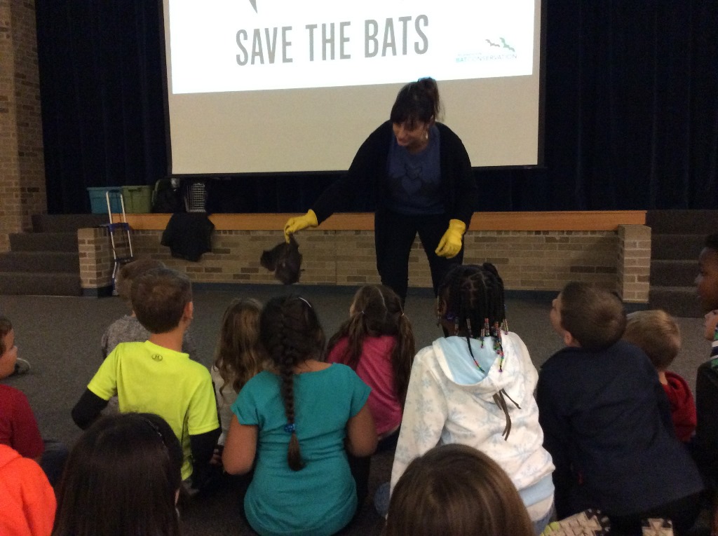 Gallery - 2nd Grade Bat Zone