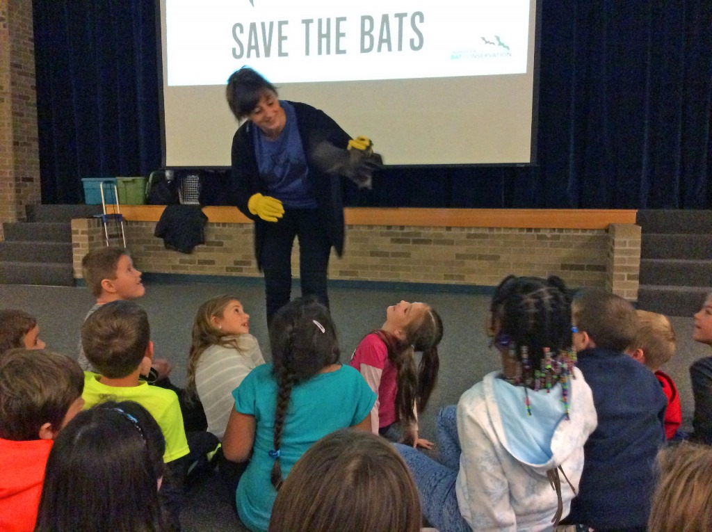 Gallery - 2nd Grade Bat Zone